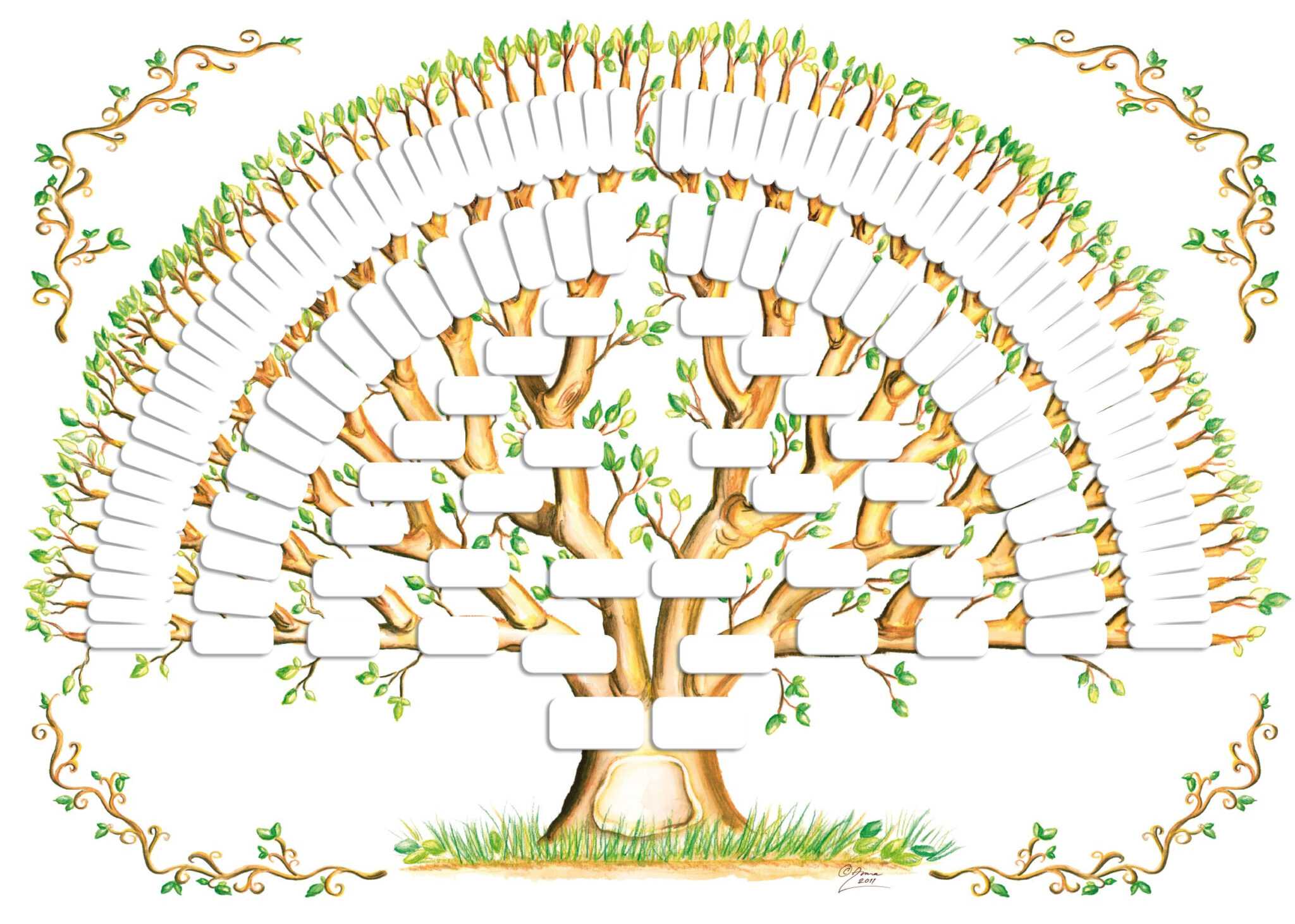 5 Generation Family Tree Template Tree Gallery Blank Within 3 