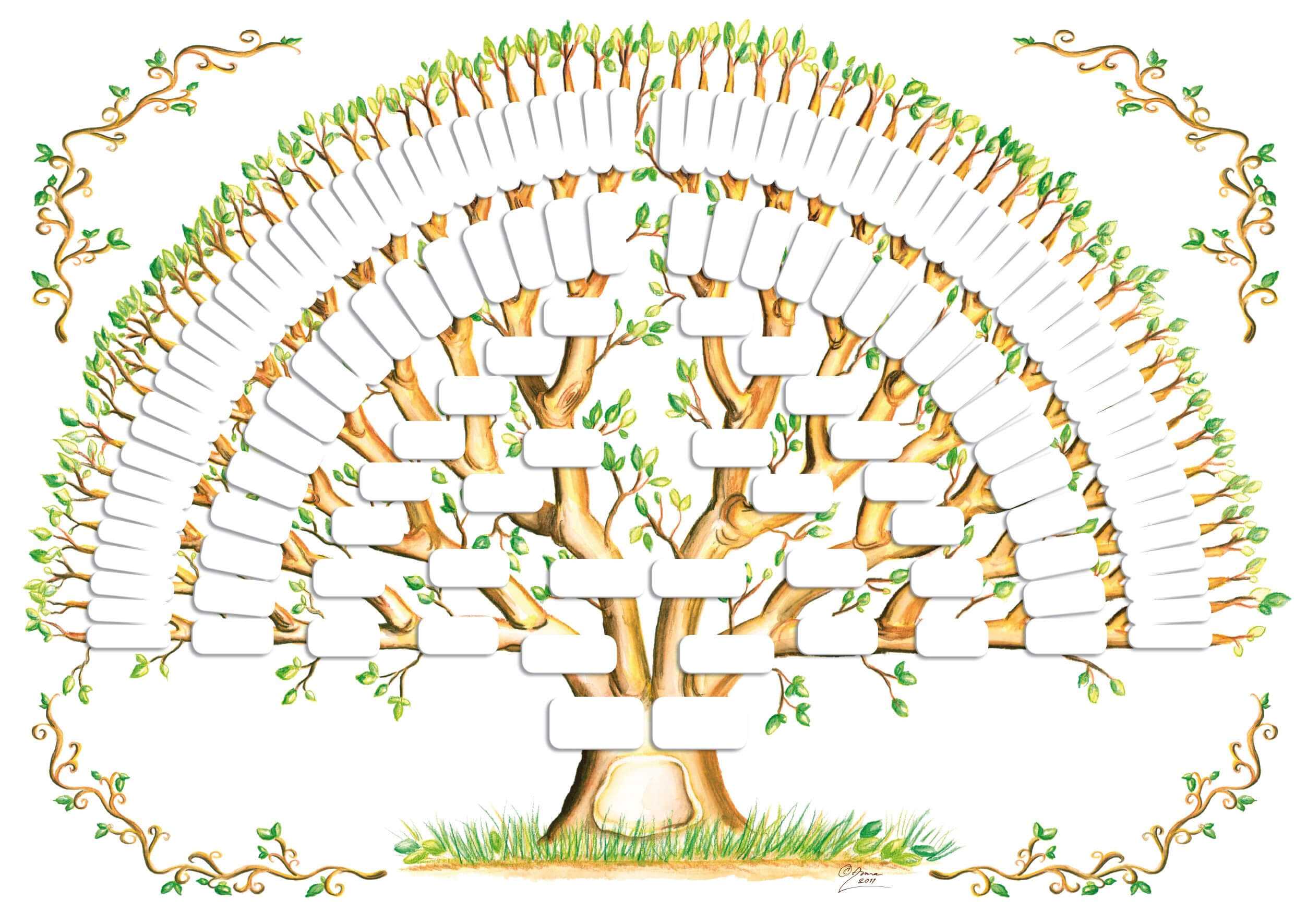 5 Generation Family Tree Template Tree Gallery Blank Within 3 